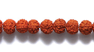 4WO157: Rudraksha Red/brown 4x5mm - String – Shipwreck Beads